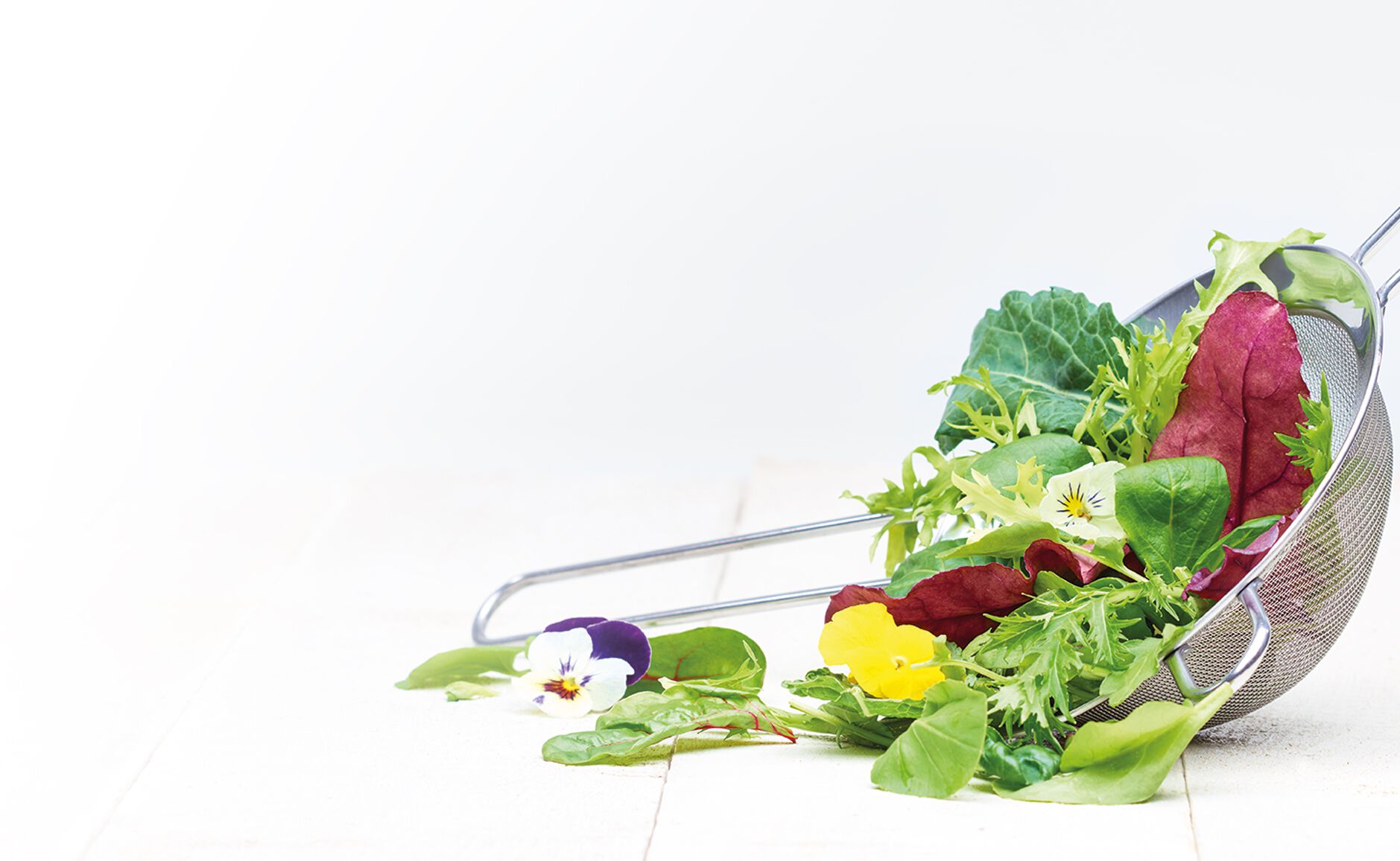 Das Frische-Rezept - KÖHRA Frische